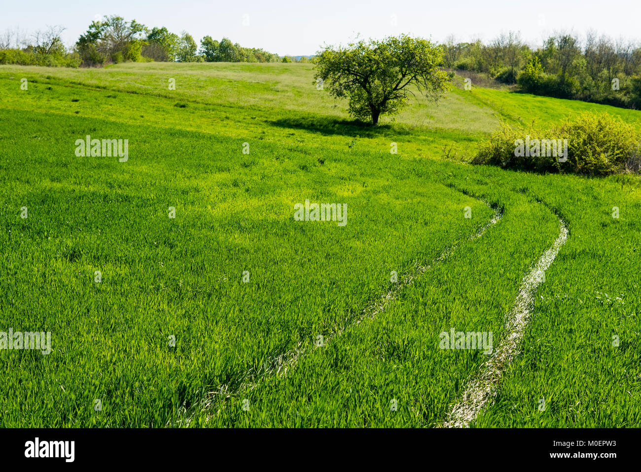 Grass pathway hi-res stock photography and images - Alamy
