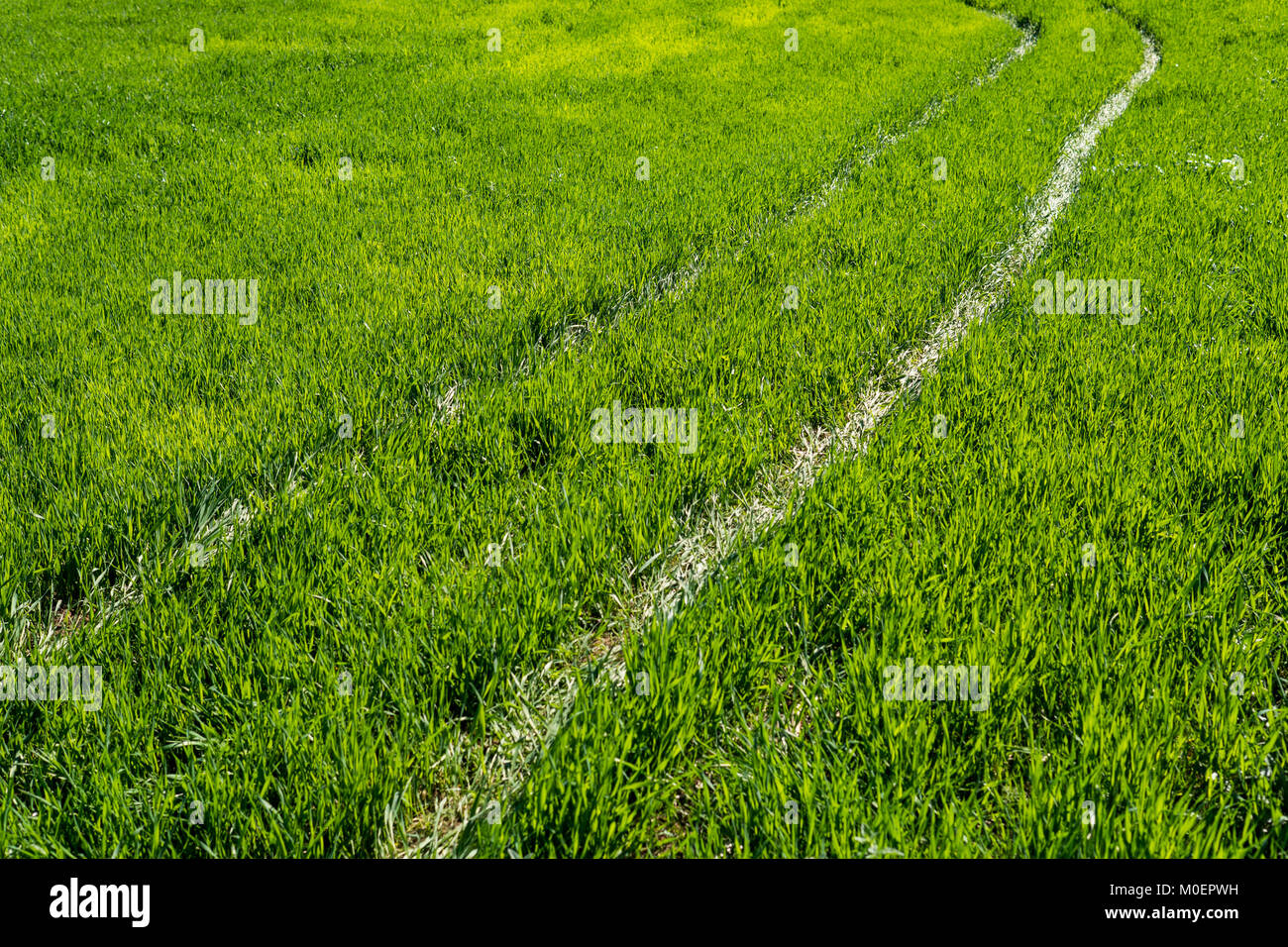 Grass pathway hi-res stock photography and images - Alamy