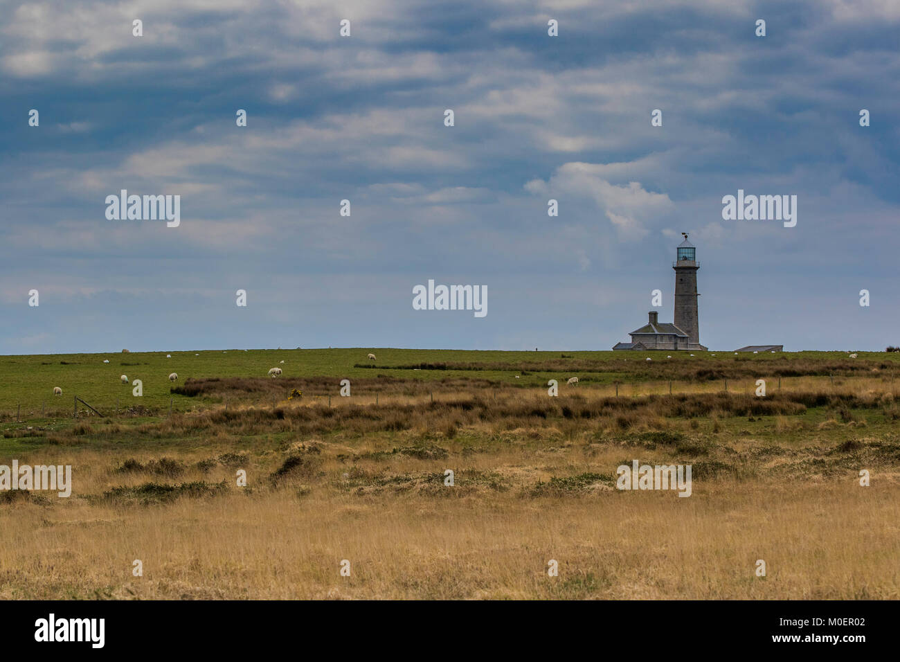 Lundy island lighthouse devon hi-res stock photography and images - Alamy