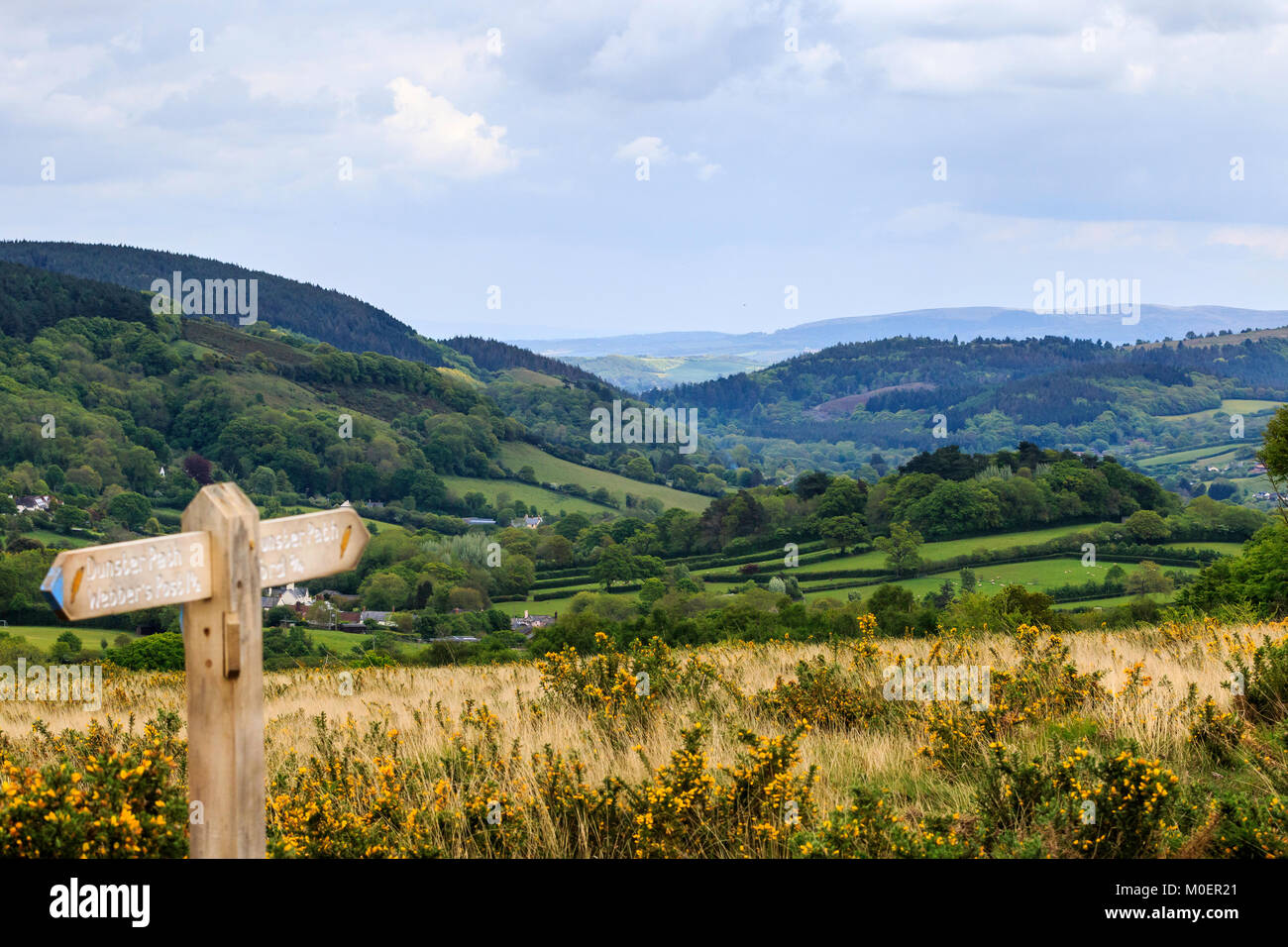Hills and moorlands of Exmoor Stock Photo - Alamy