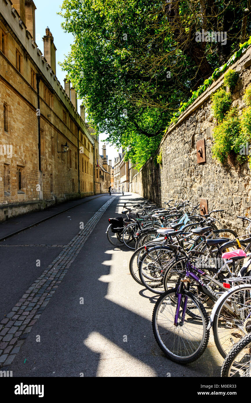 College cycles basking in the sunlight Stock Photo - Alamy