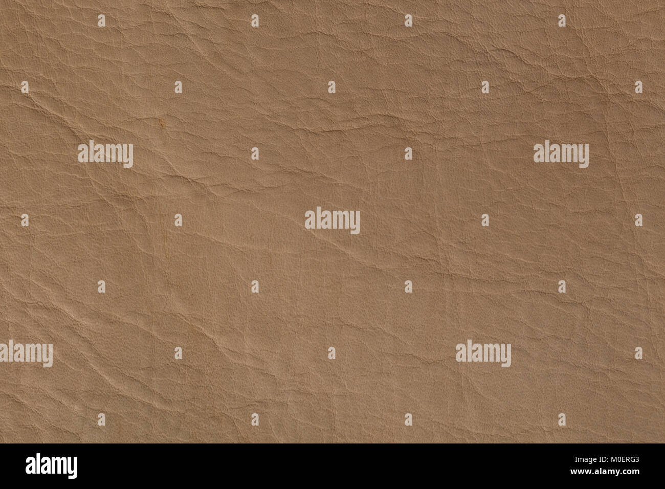Blege leather texture on macro Stock Photo - Alamy