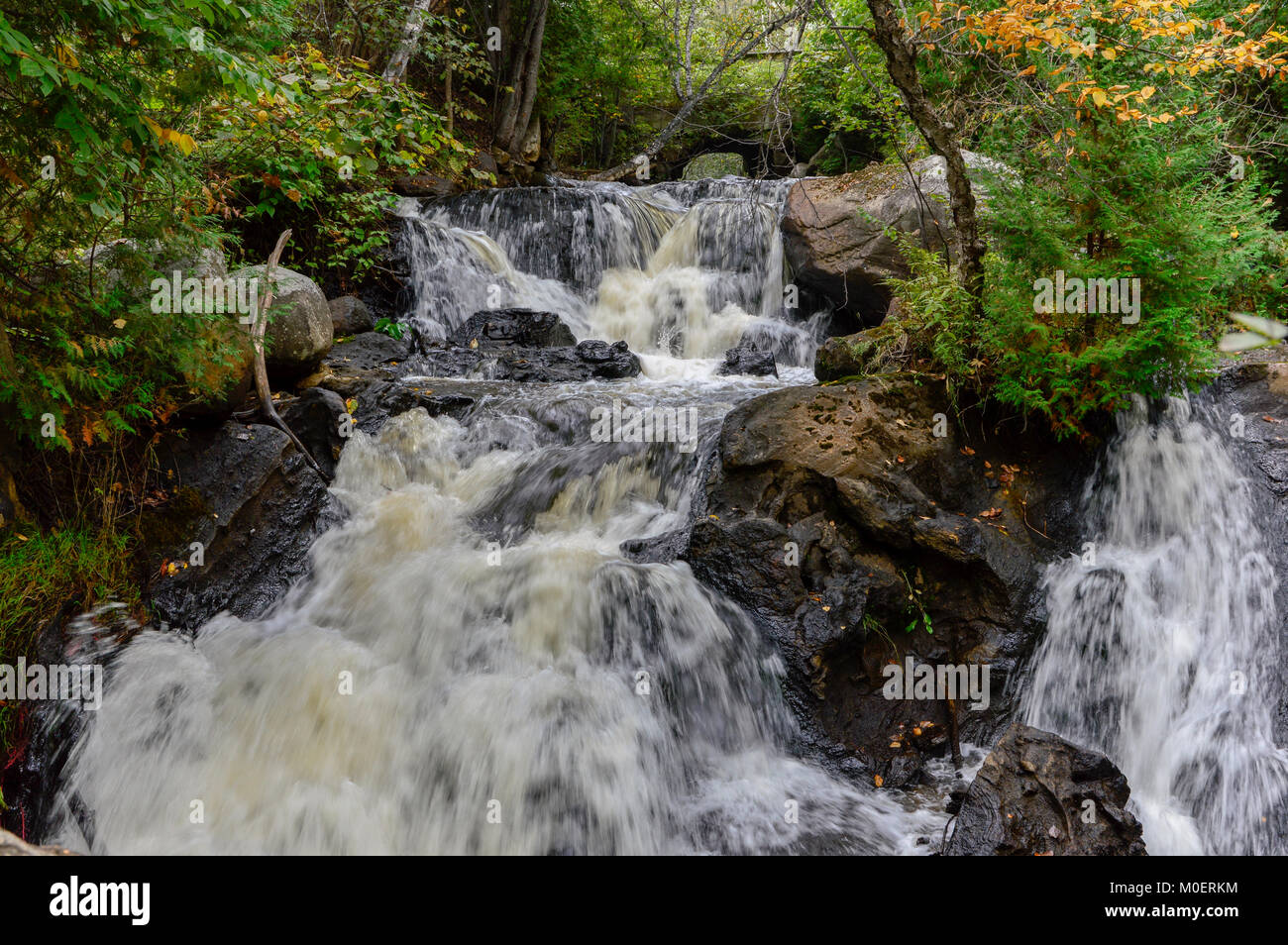 Water running down a stream in the forest, splashing on the rocks ...