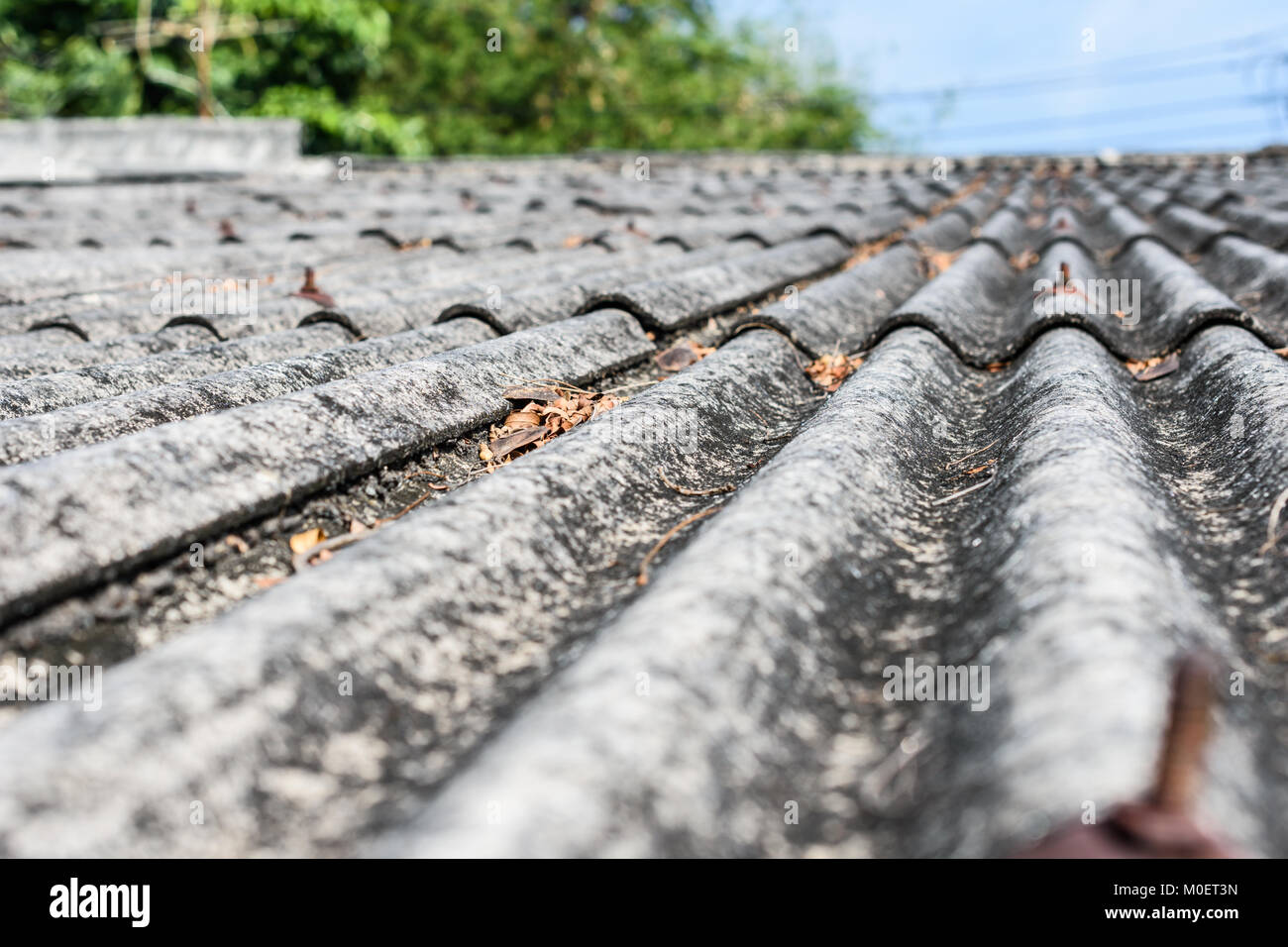 close up detail and texture roof tile Stock Photo - Alamy