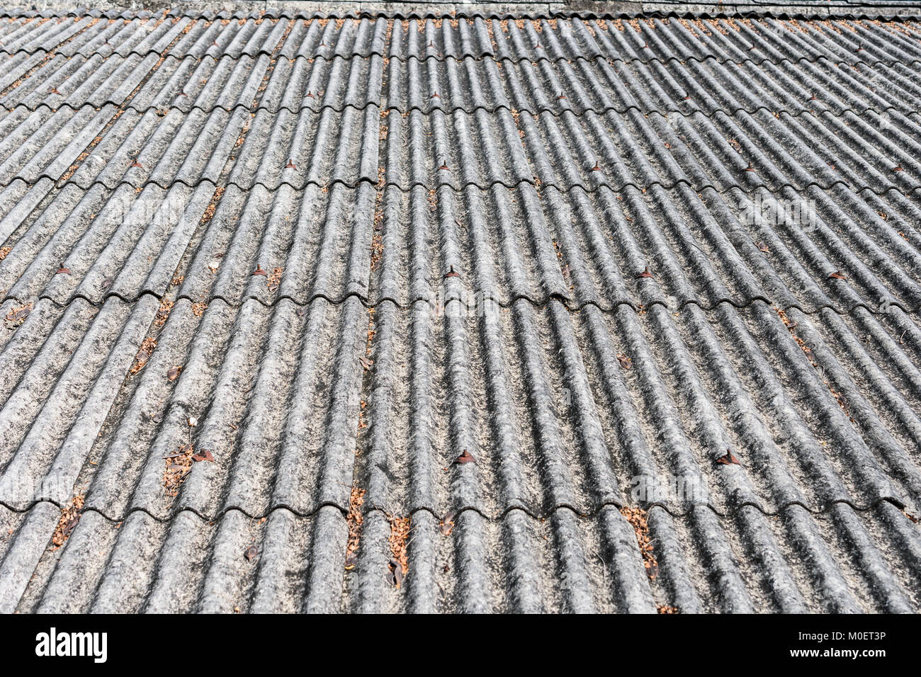 close up detail and texture roof tile Stock Photo - Alamy