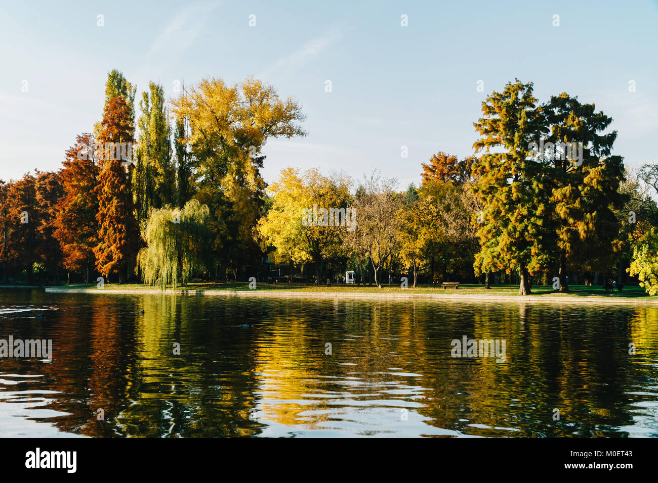 Autumn Season In Bucharest Park Landscape Stock Photo - Alamy