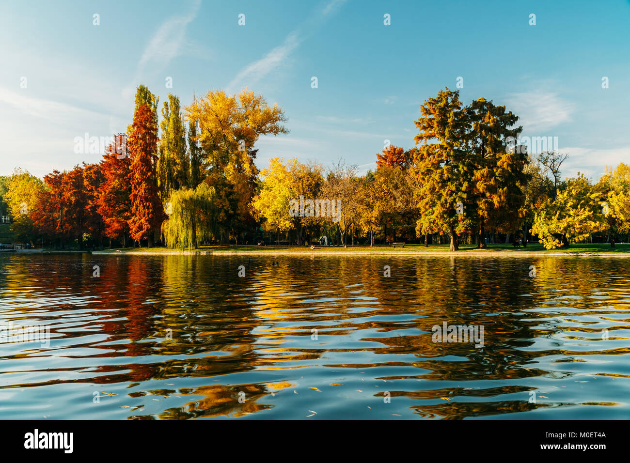 Autumn Season In Bucharest Park Landscape Stock Photo - Alamy