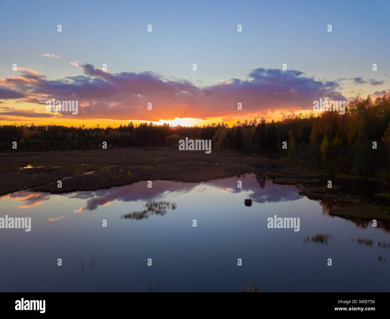 Symetric reflection of trees hi-res stock photography and images - Alamy
