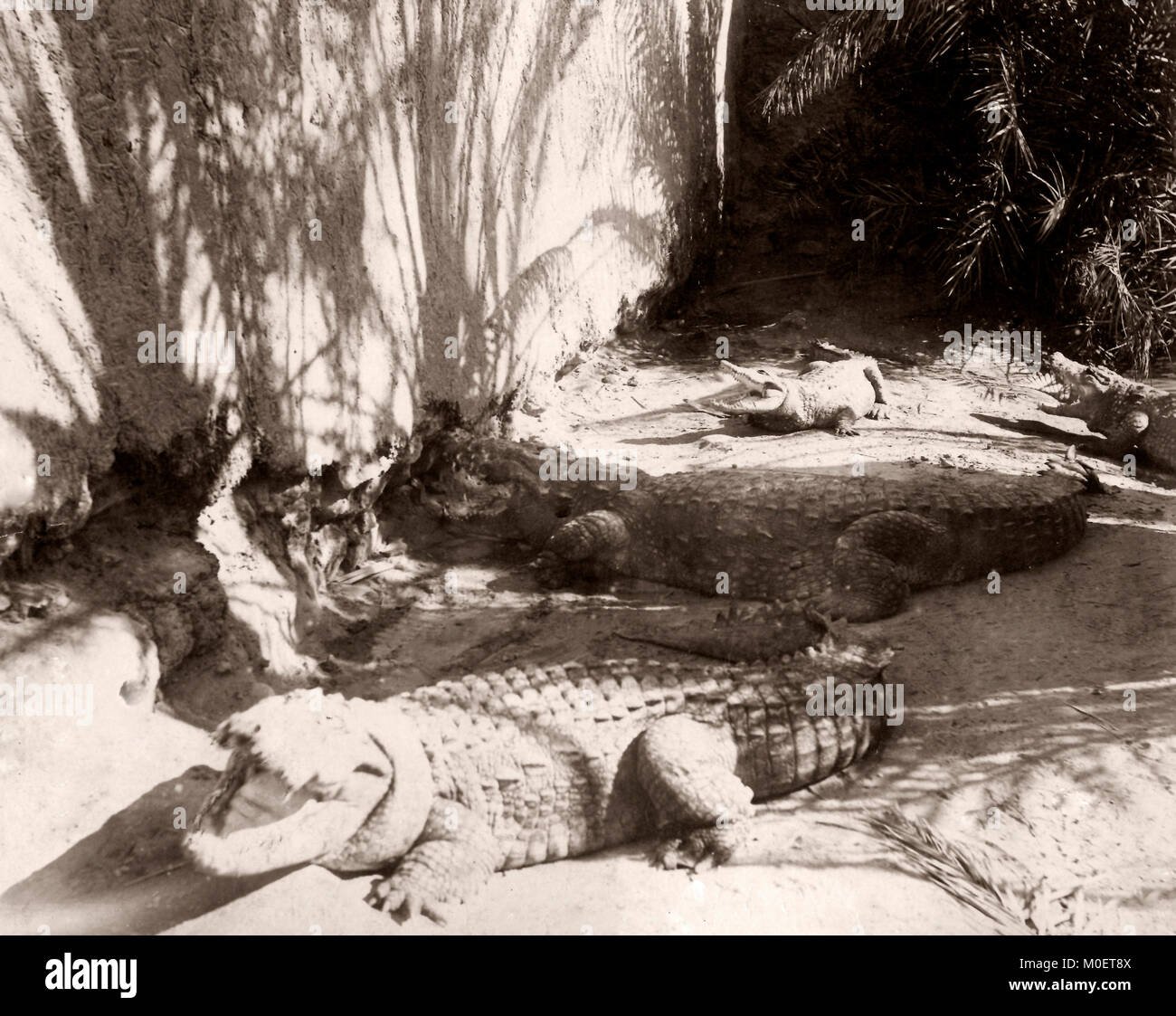 Manghopir hi-res stock photography and images - Alamy