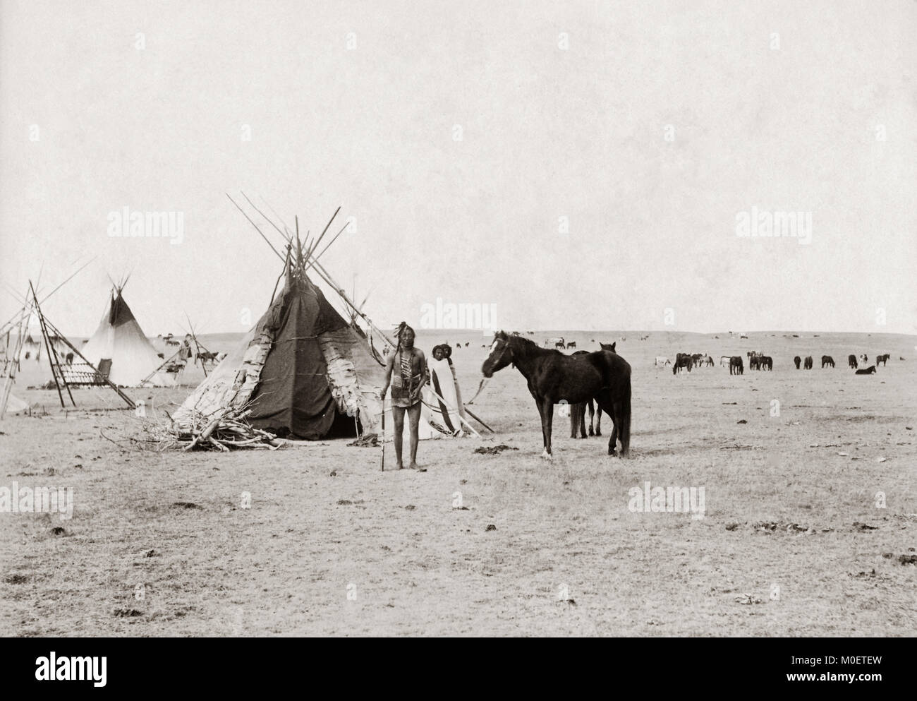 Native American Camp, Blackfoot Reserve, Canada, c.1890 Stock Photo - Alamy