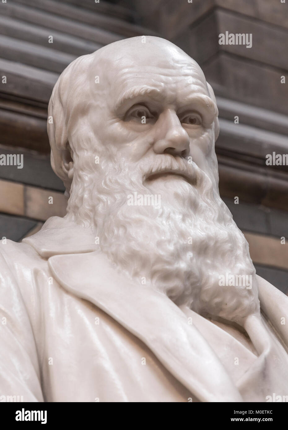 Statue of Charles Darwin, Natural History Museum, Kensington, England ...