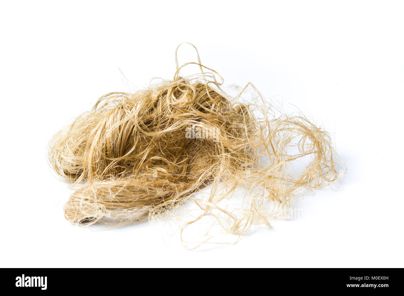 Cannabis hemp fibers isolated on white background Stock Photo - Alamy