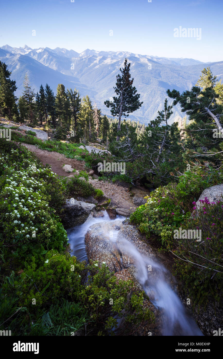 Alta Peak Trail Overlook, California, United States Stock Photo - Alamy