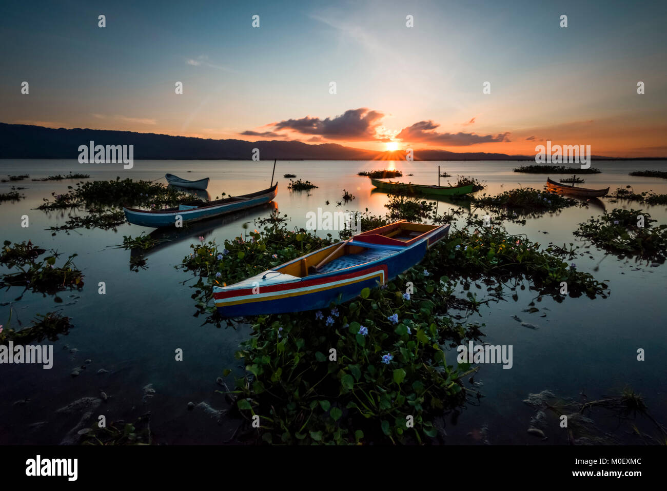 Boats on limboto lake at sunset, Gorontalo, Indonesia Stock Photo - Alamy