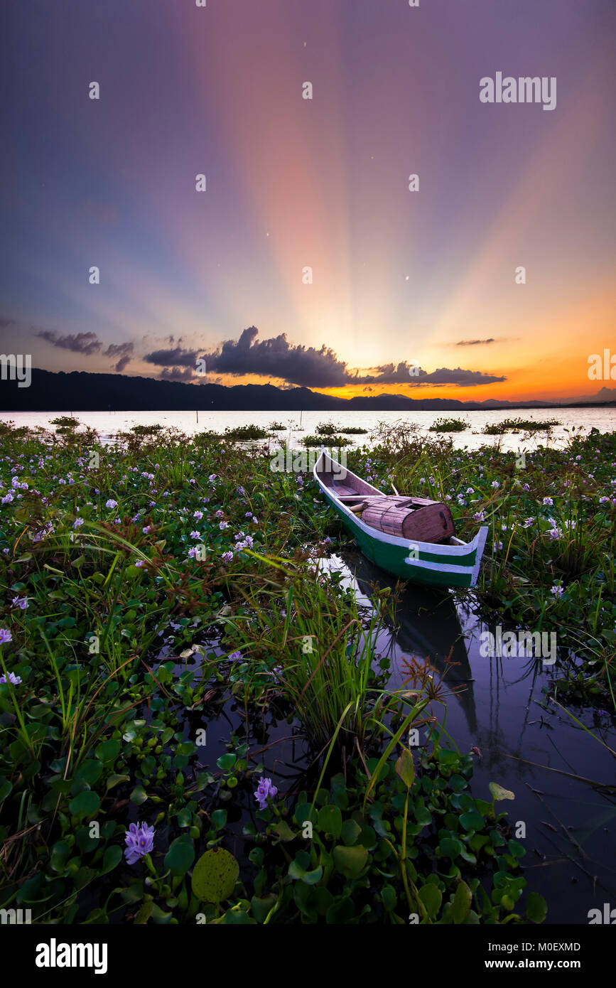 Boats on limboto lake at sunset, Gorontalo, Indonesia Stock Photo - Alamy