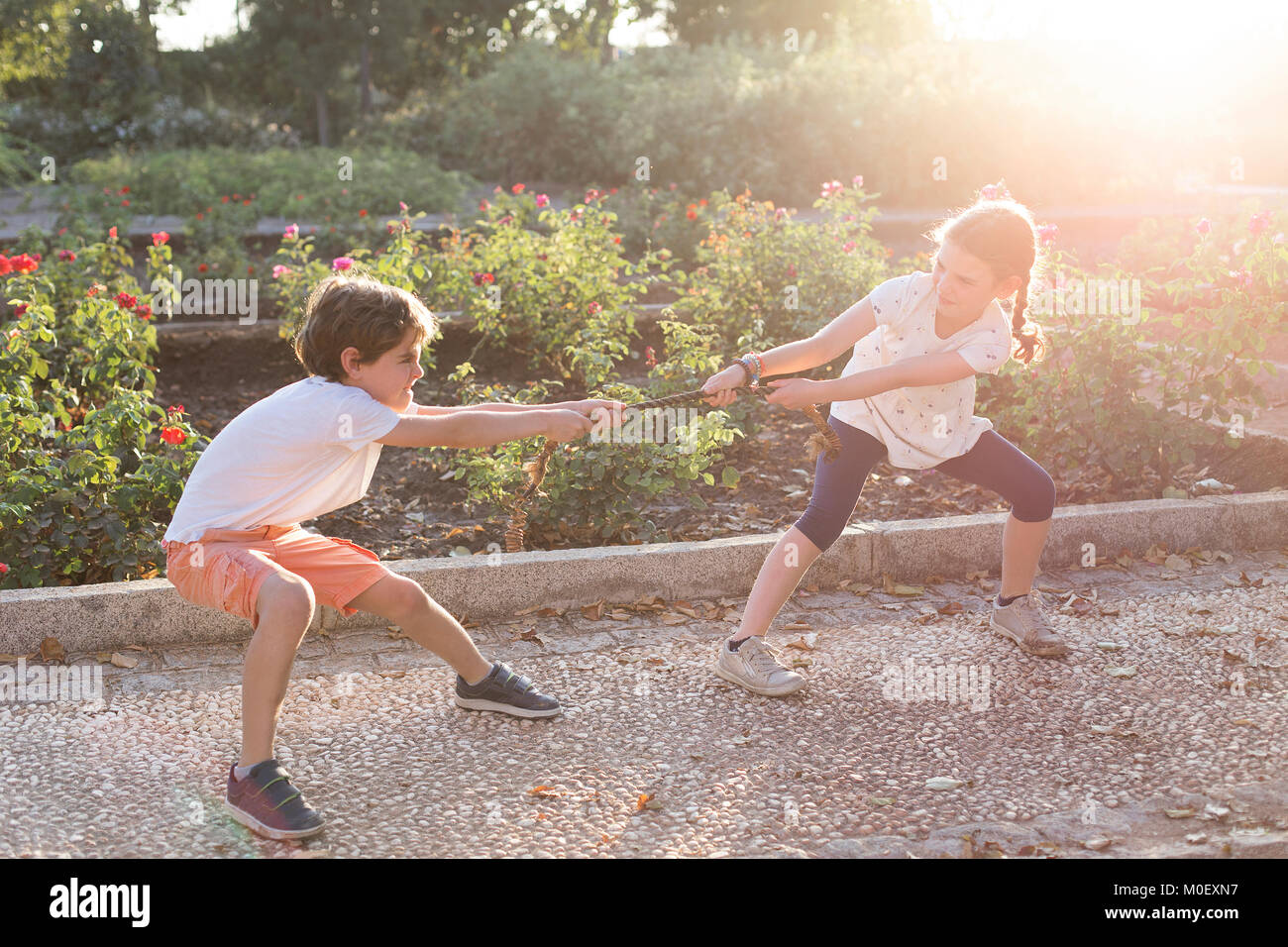 Boy and girl standing in garden pulling a rope Stock Photo - Alamy