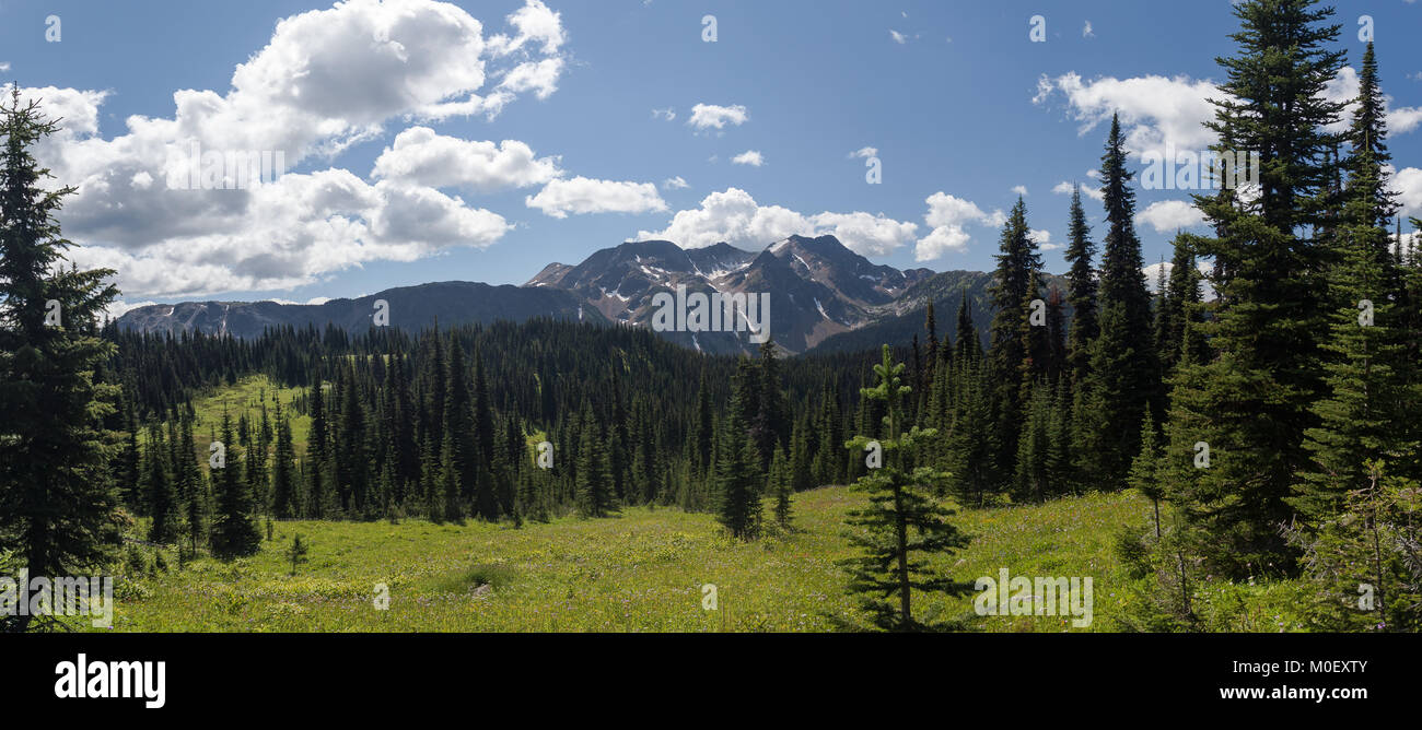 Mt Raft and Mt Trophy alpine meadows, Wells Gray Provincial Park ...