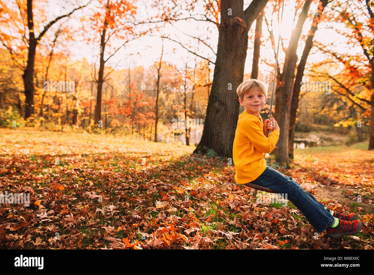 Boy sitting on a rope swing in a garden Stock Photo - Alamy