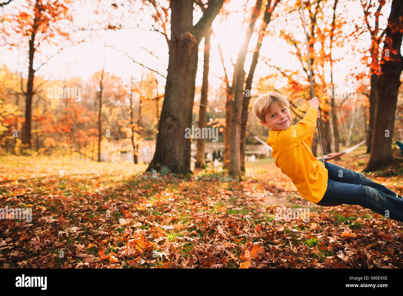 Boy sitting on a rope swing in the garden Stock Photo - Alamy