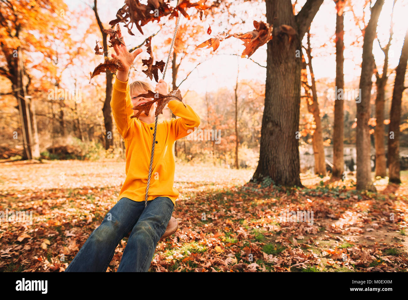 Boy sitting on a rope swing in the garden Stock Photo - Alamy