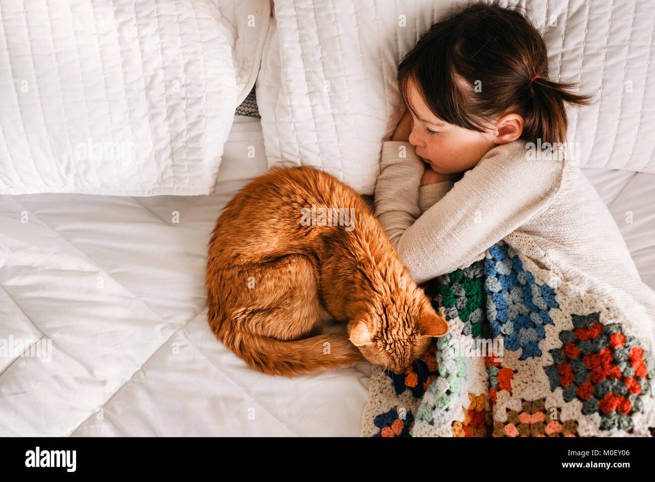Girl having a nap on a bed with her cat Stock Photo - Alamy