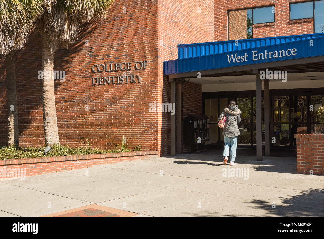 Ufc florida hi-res stock photography and images - Alamy