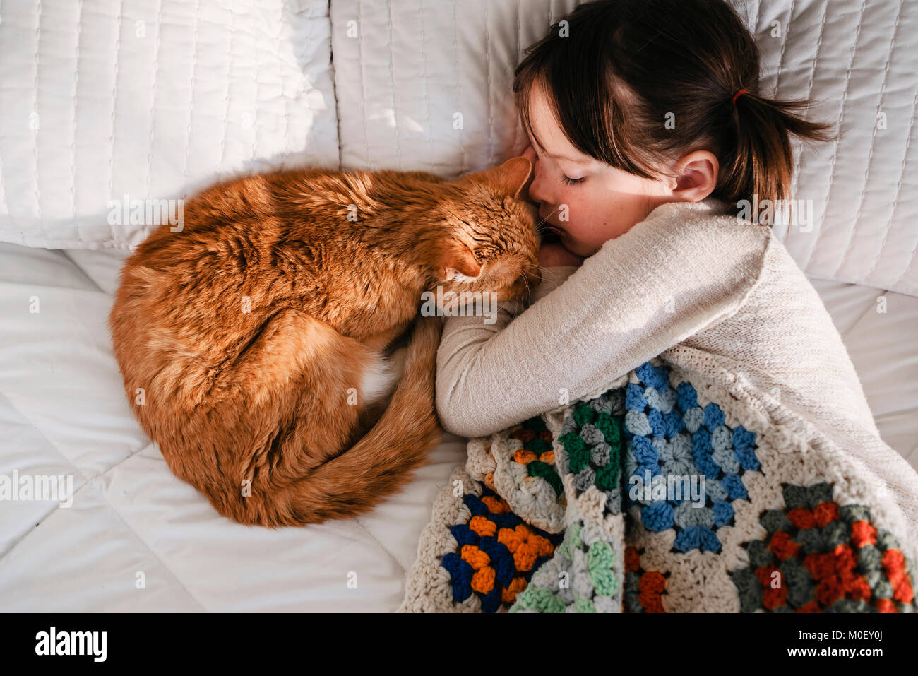 Girl having a nap on a bed with her cat Stock Photo - Alamy