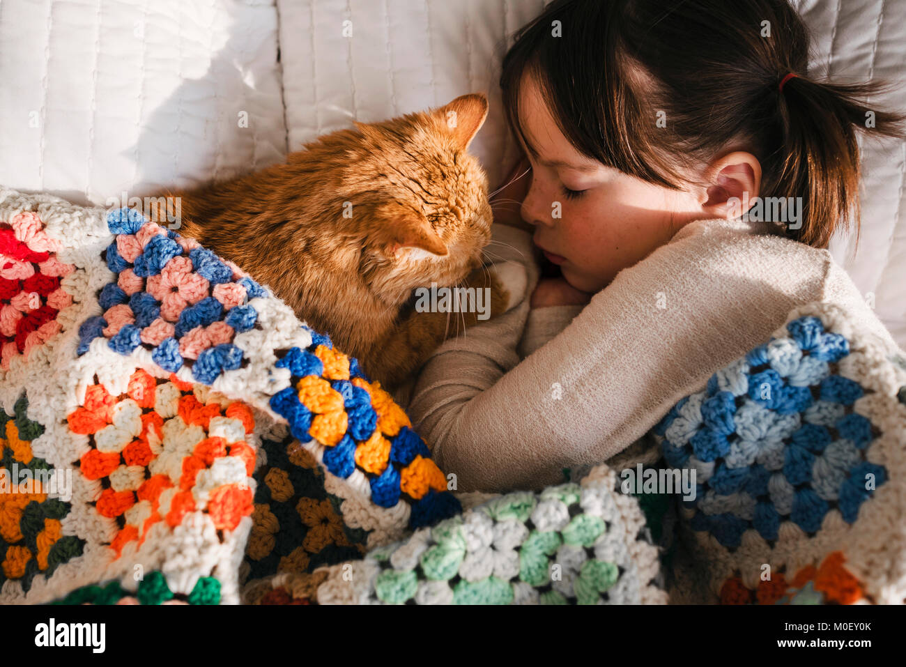 Girl having a nap on a bed with her cat Stock Photo - Alamy