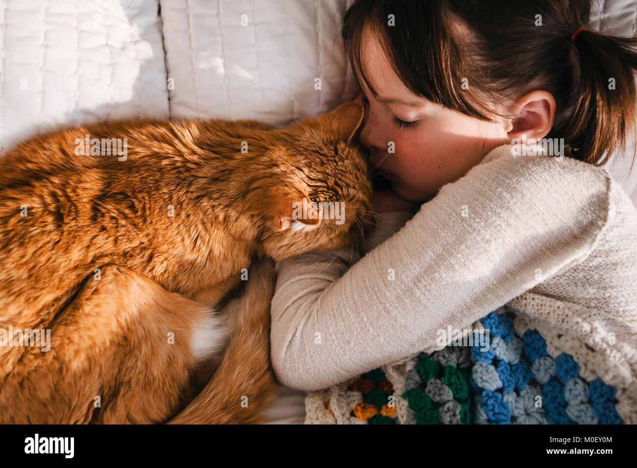 Girl having a nap on a bed with her cat Stock Photo - Alamy