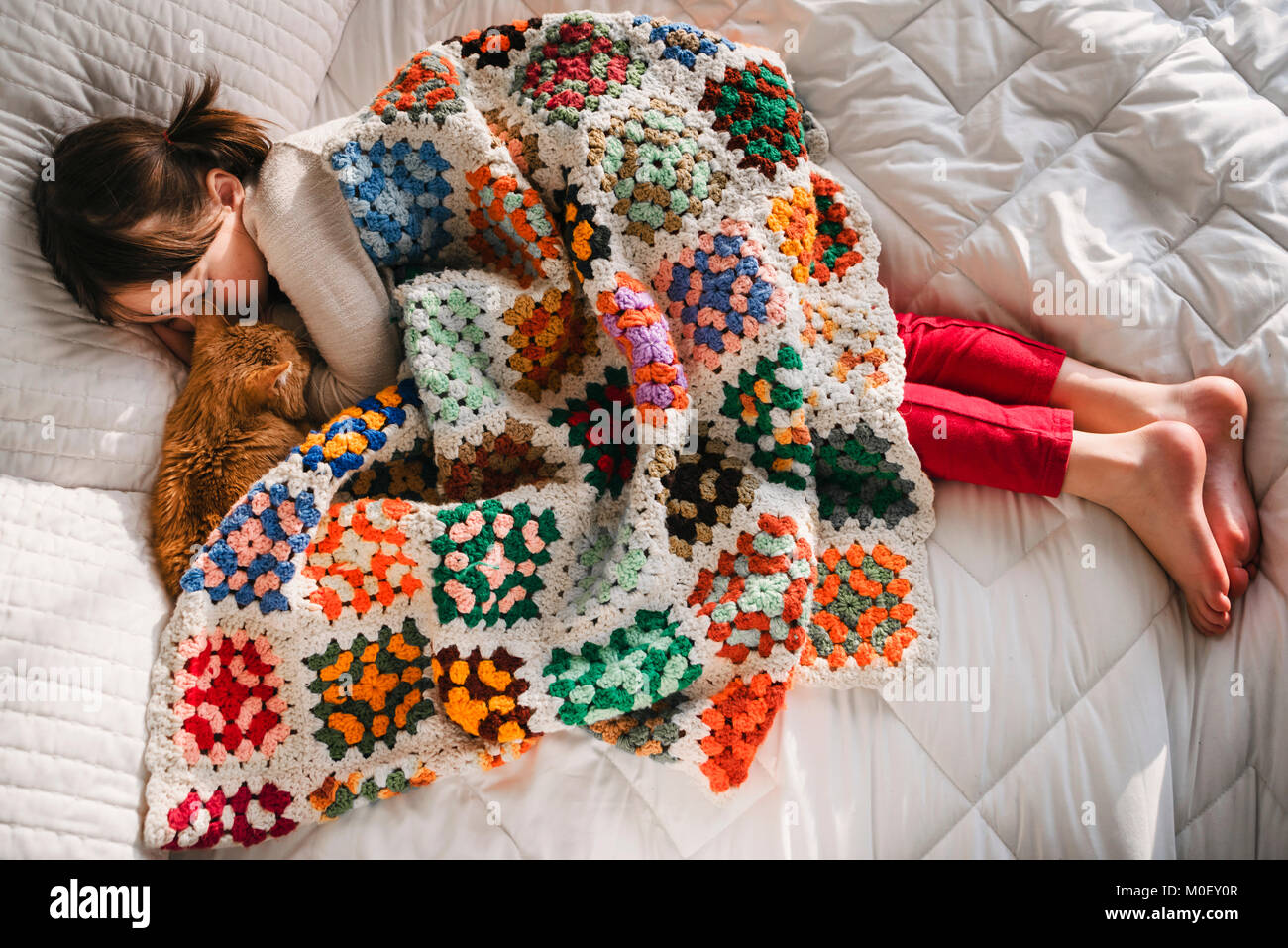 Girl having a nap on a bed with her cat Stock Photo - Alamy