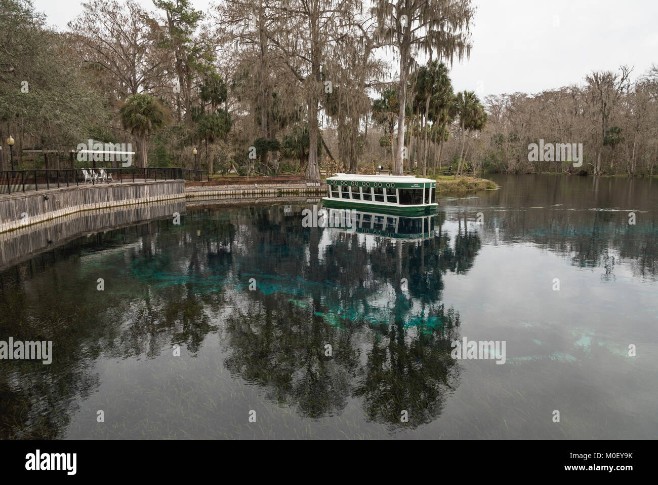 Silver Springs Ocala, Florida State Park USA Stock Photo - Alamy