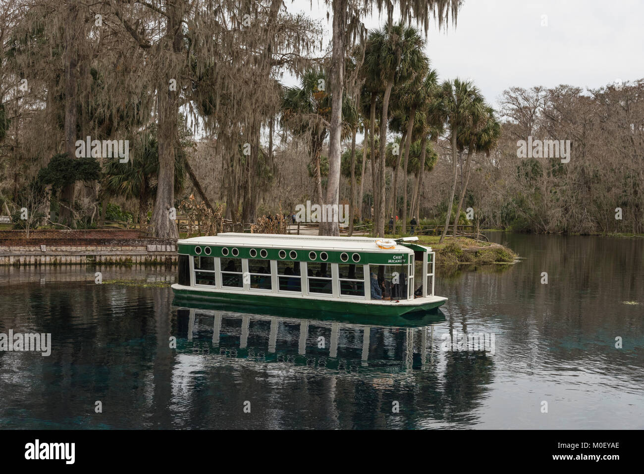 Silver Springs Ocala, Florida State Park USA Stock Photo - Alamy