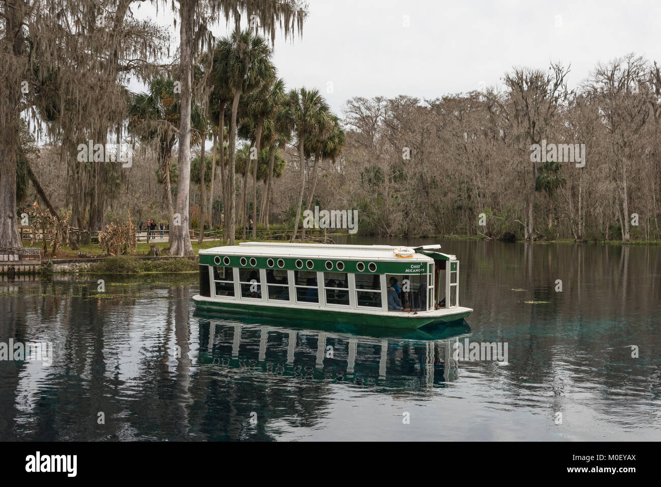 Silver Springs Ocala, Florida State Park USA Stock Photo - Alamy