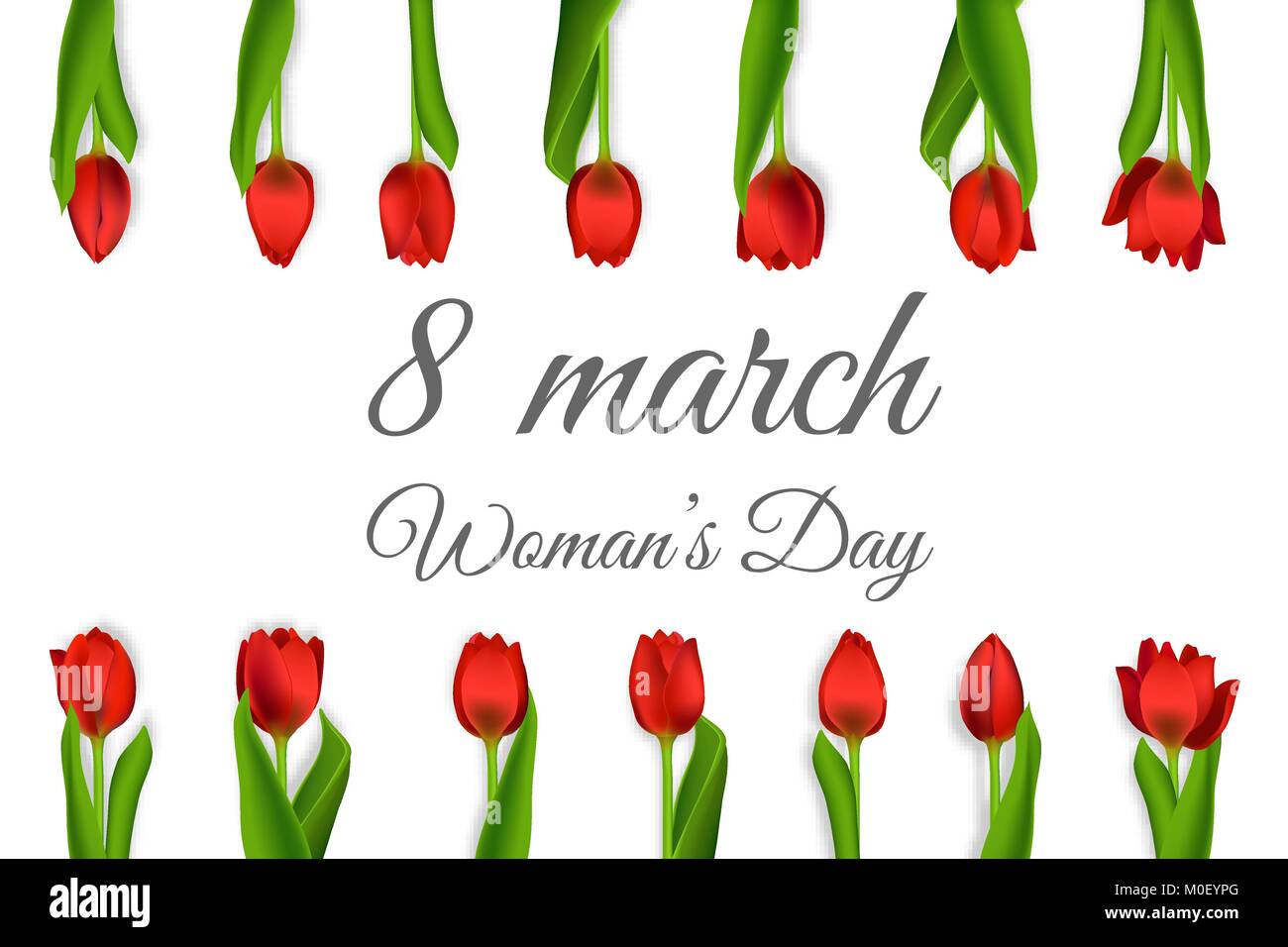 Realistic tulips Cut Out Stock Images & Pictures - Alamy