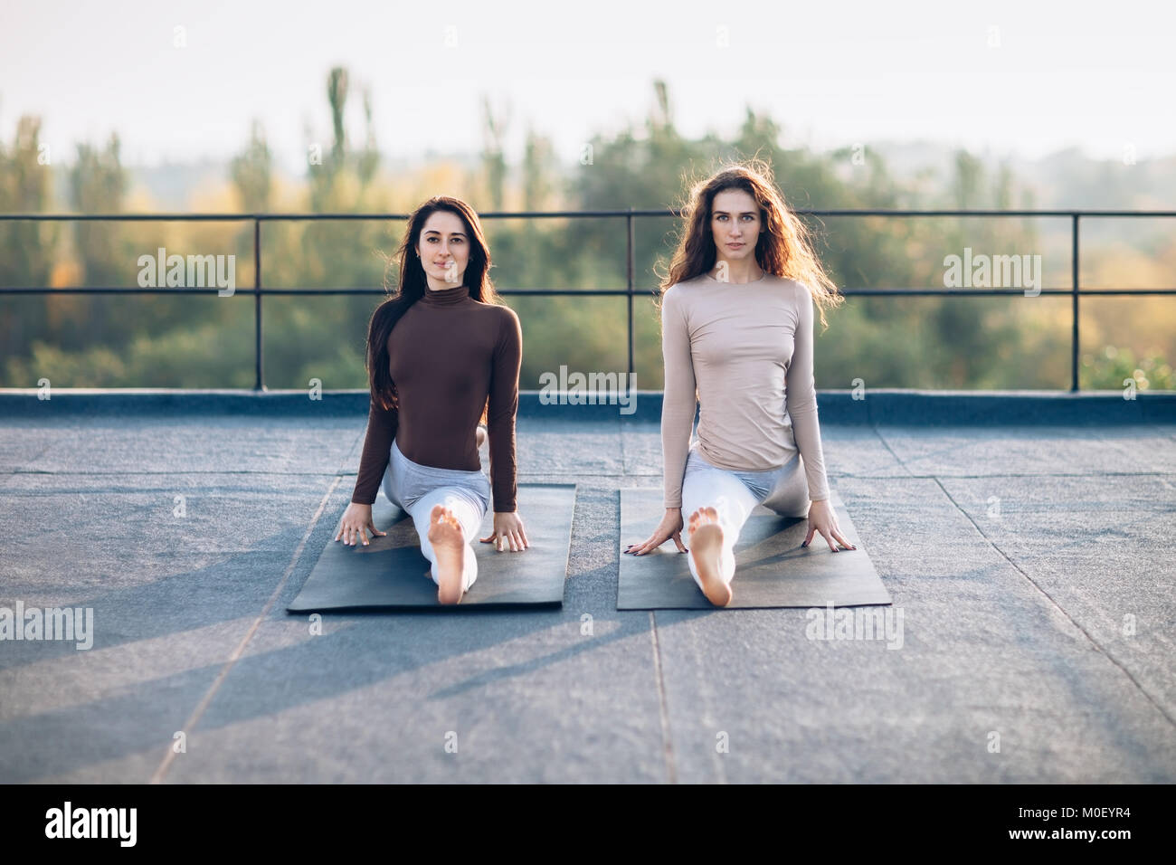 Monkey pose hi-res stock photography and images - Alamy