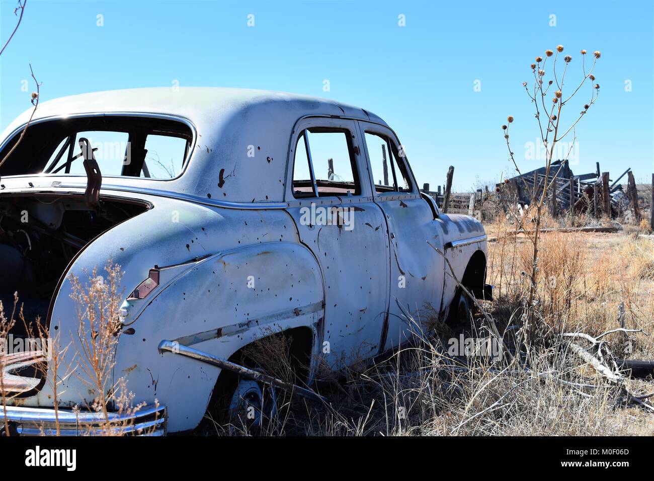 Car in a field hi-res stock photography and images - Alamy