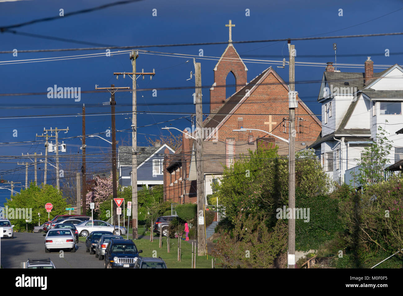 Telephone Pole City