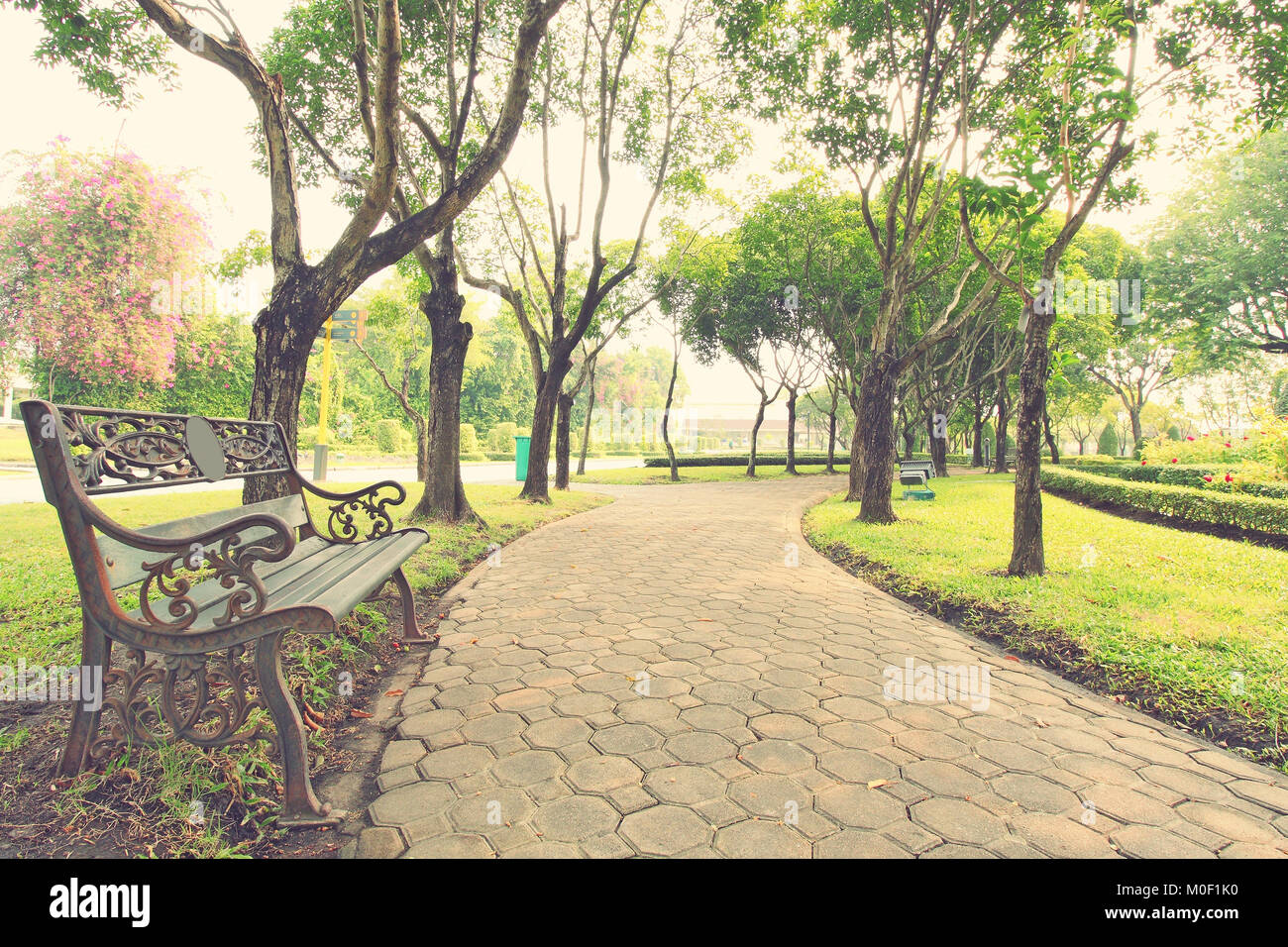 Bench under the tree in the Gardens, vintage style Stock Photo - Alamy