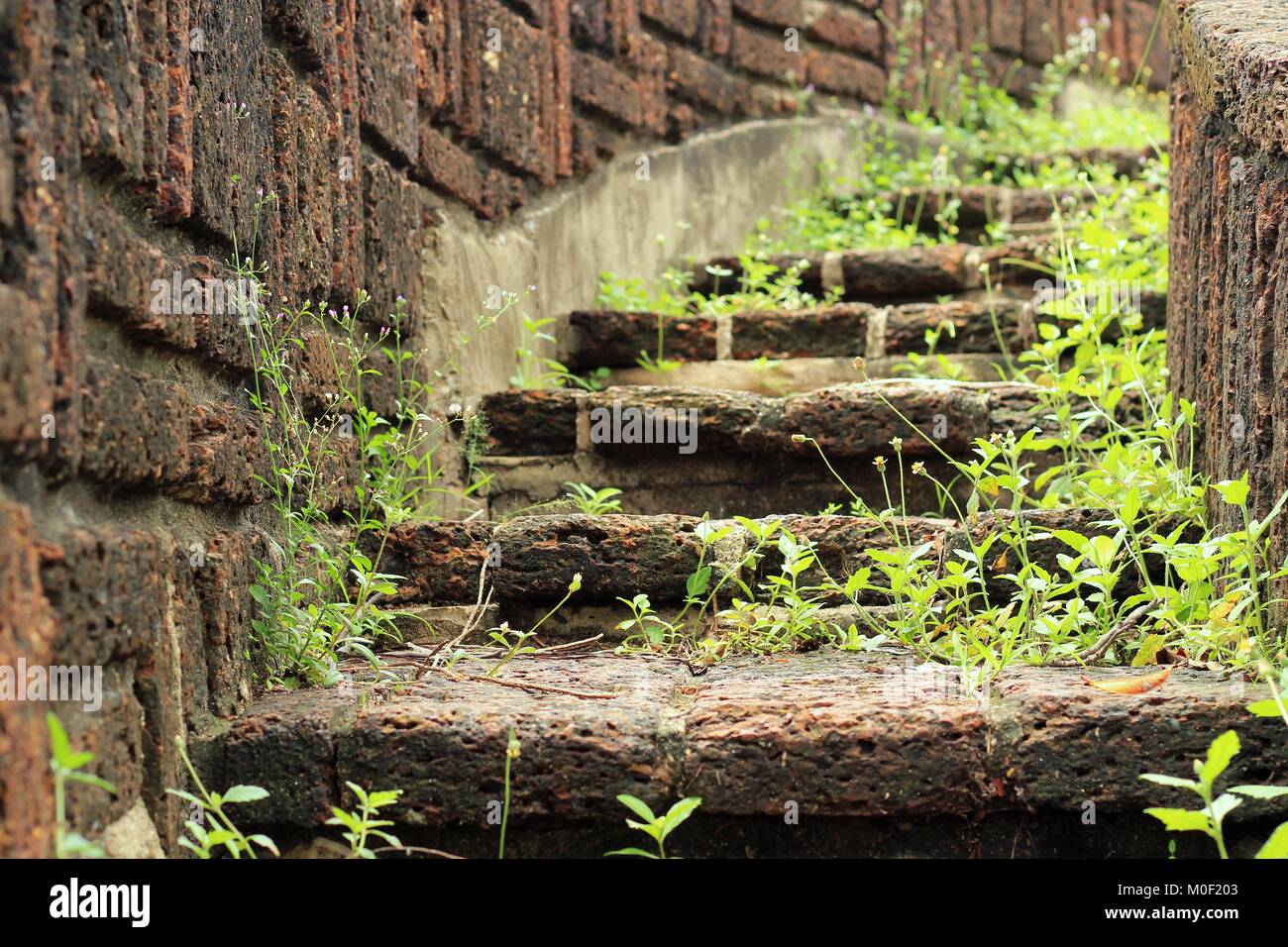 Natural stone stairs landscaping in garden Stock Photo - Alamy