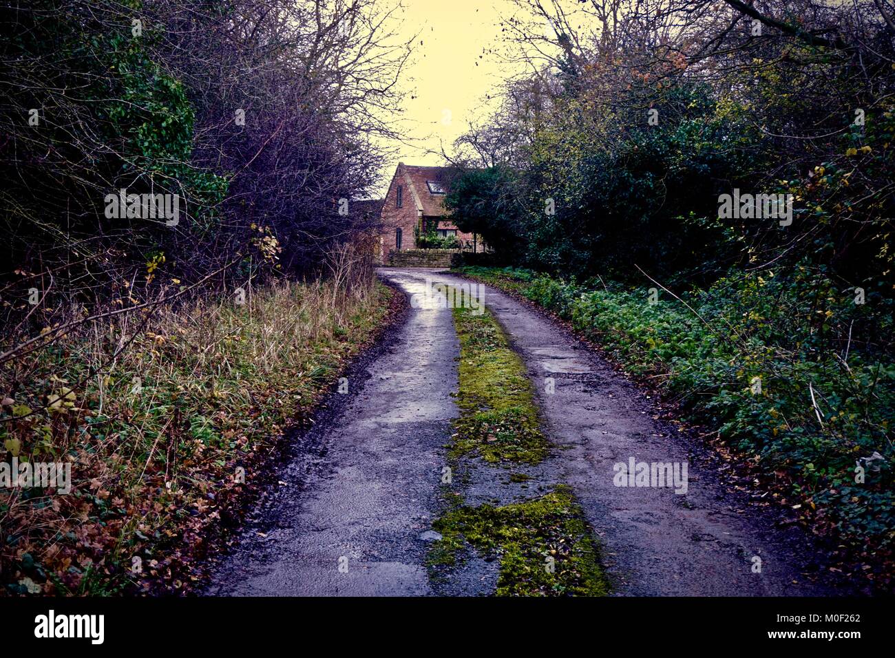 English cottage winter hi-res stock photography and images - Alamy