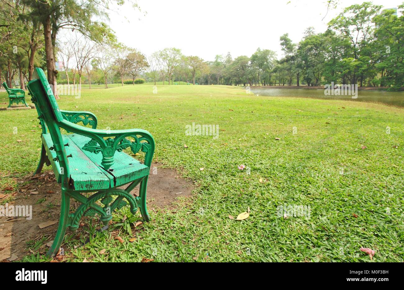 Bench under the tree in the Gardens Stock Photo - Alamy