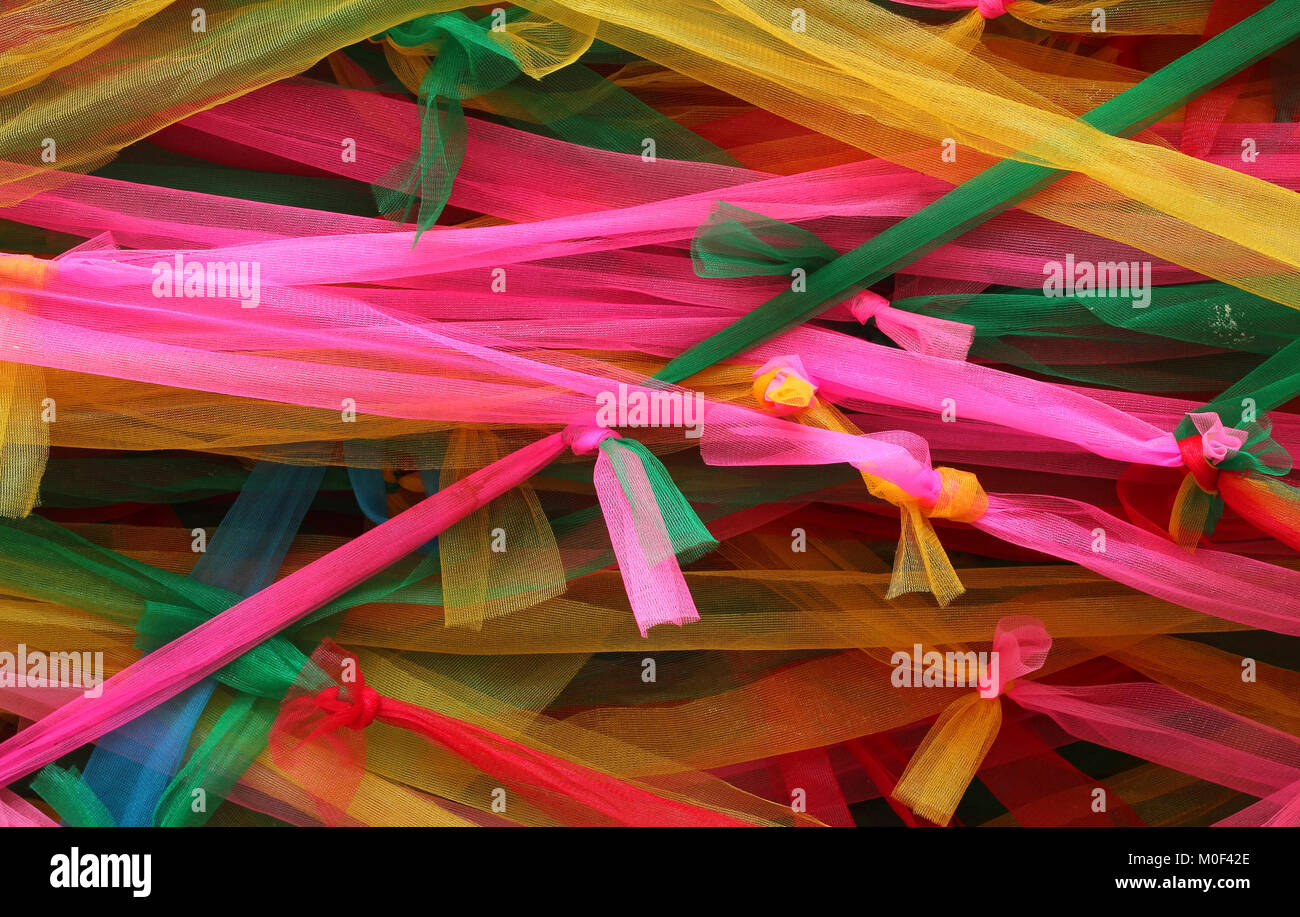 Strips of different colored fabric ribbons decorate a bodhi tree at the ...