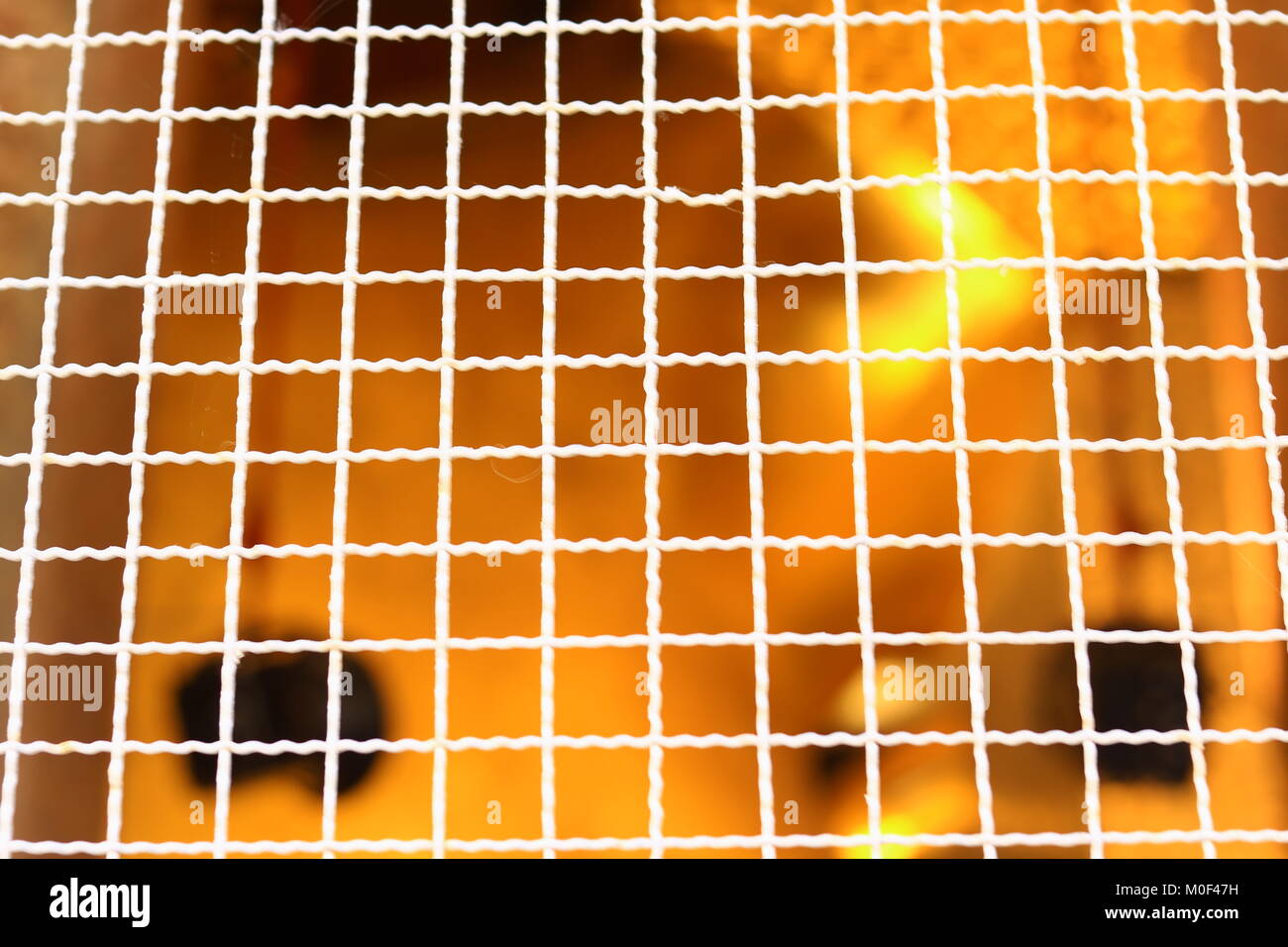 net cage background Stock Photo - Alamy