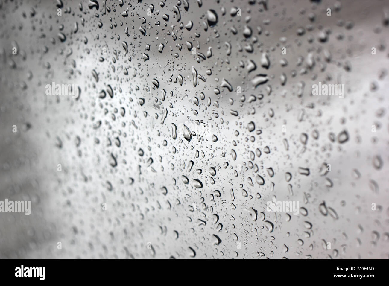 rain water drops as background or texture Stock Photo - Alamy