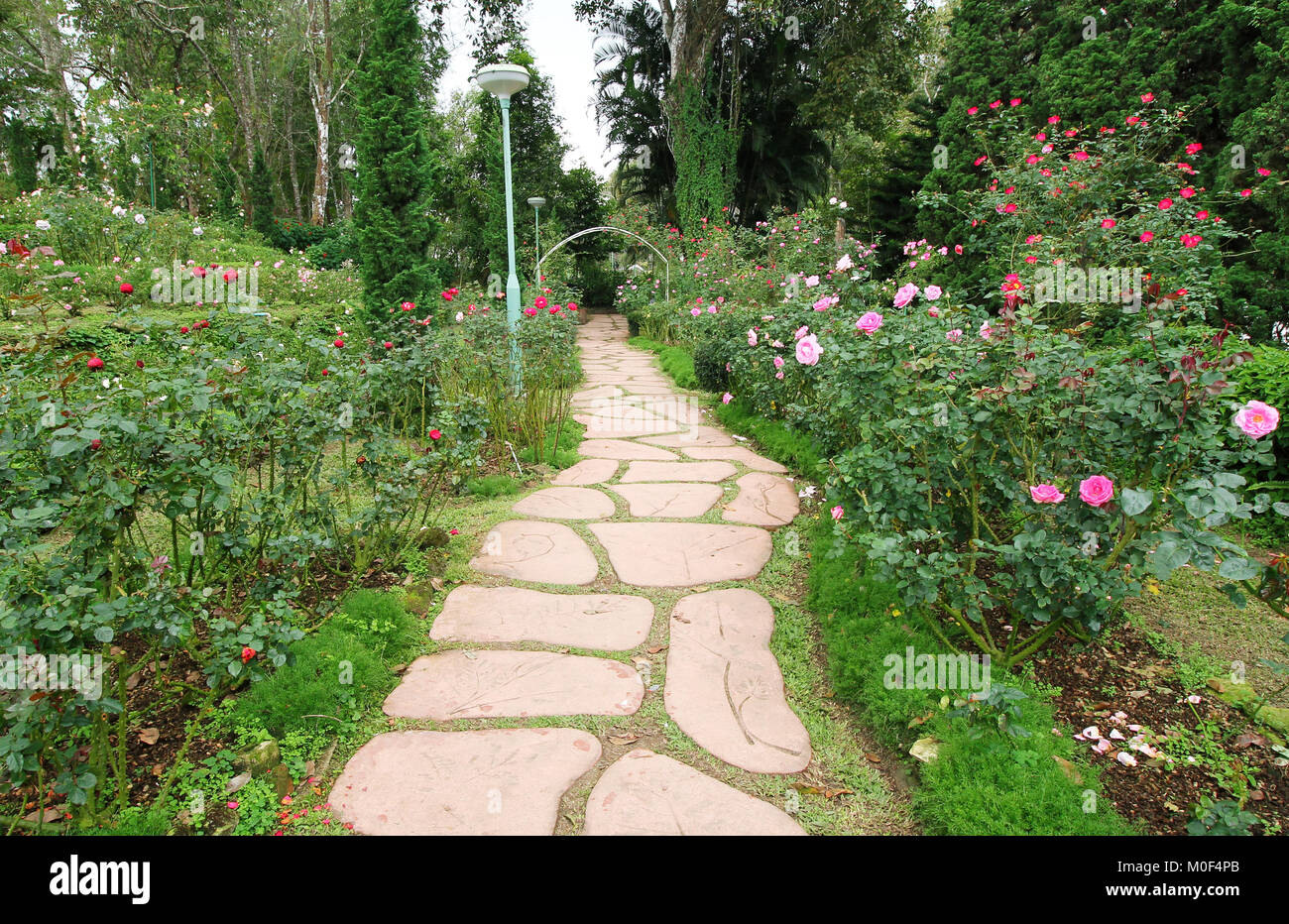Stone pathway on grass in garden Stock Photo - Alamy