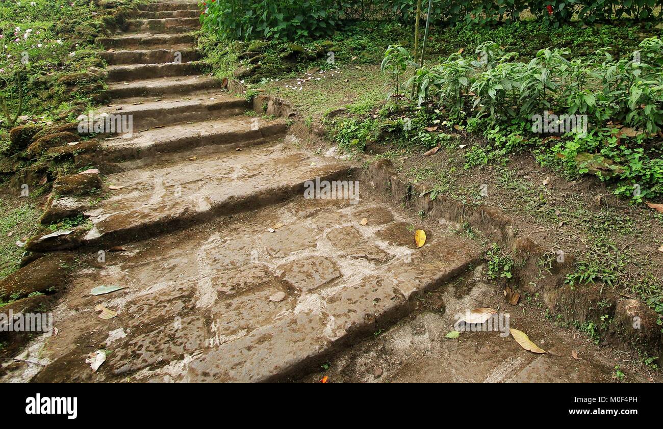 Natural stone stairs landscaping in garden Stock Photo - Alamy