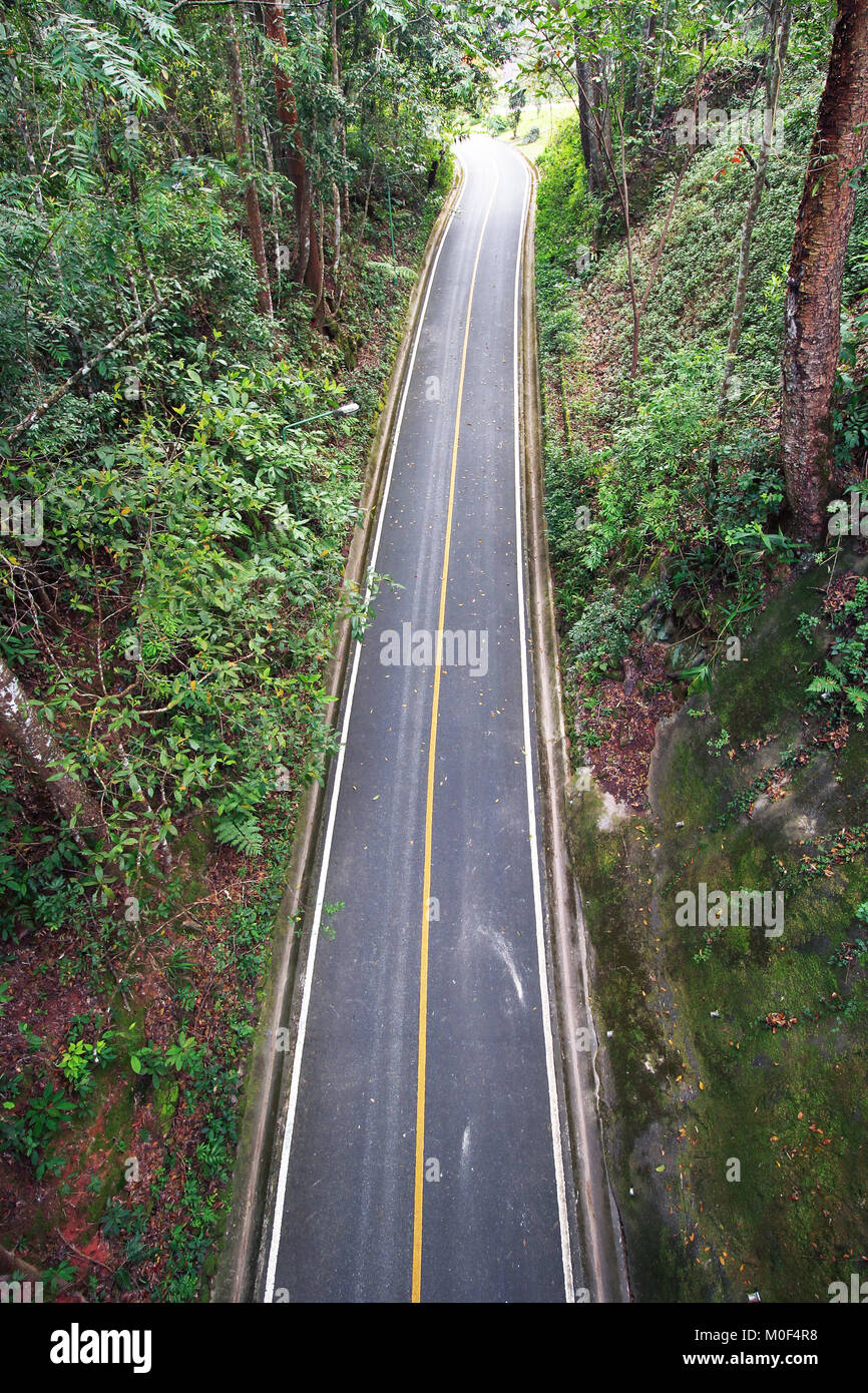 Top view asphalt road lush hi-res stock photography and images - Alamy