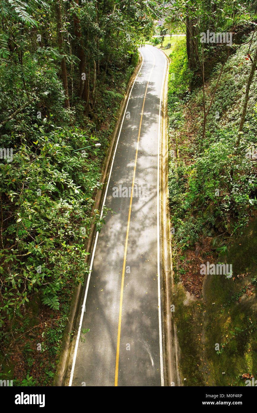 Top view asphalt road lush hi-res stock photography and images - Alamy