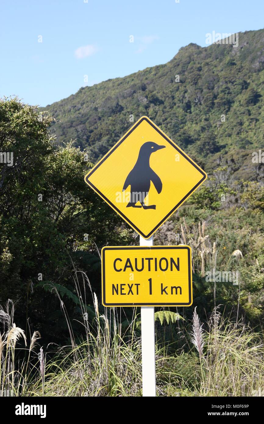 Warning sign for penguins hi-res stock photography and images - Alamy