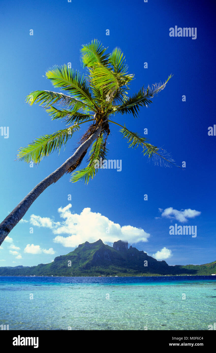 Bora Bora is in the Leeward group of islands in French Polynesia, 230km ...